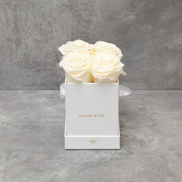 19AprOff_box4_31_cd68a449-6e62-4402-8e01-a540c2446084_grande.jpg?v ...