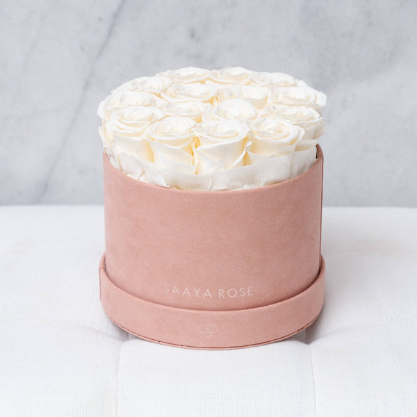 APR19_Small_Circle_04_d527d103-8306-4996-b689-629a30e085b1_grande.jpg?v ...